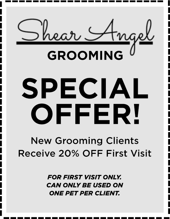 Shear Angel Grooming - Angel Animal Hospital & Boarding